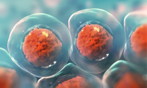 AFMS - Cell & Gene Therapy